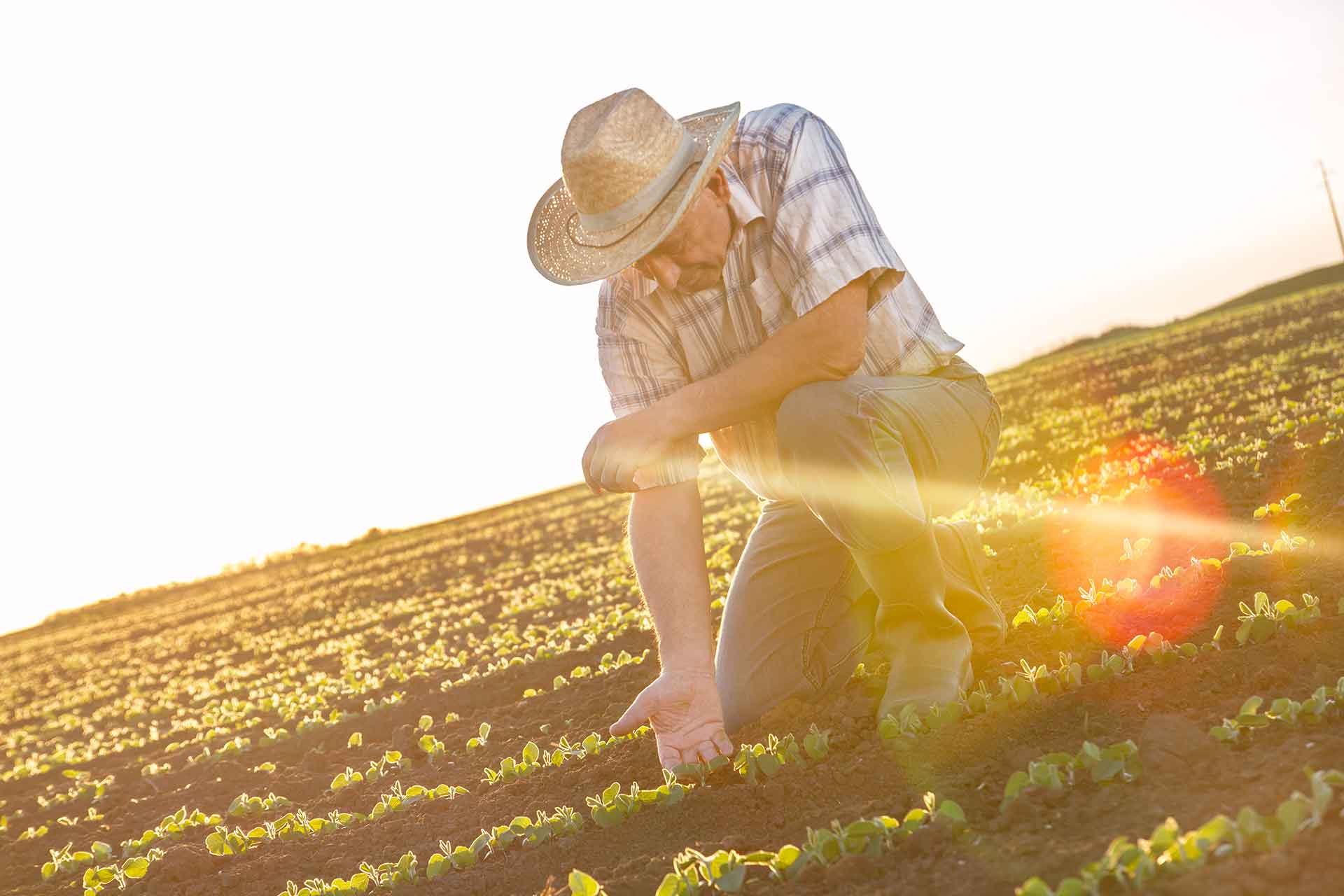 VGRID Energy's Bioservers Aim to Help with Drought Solutions in ...