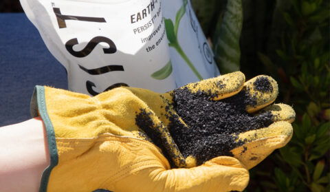 Improvements in composting can help stop climate change - V-Grid Energy ...